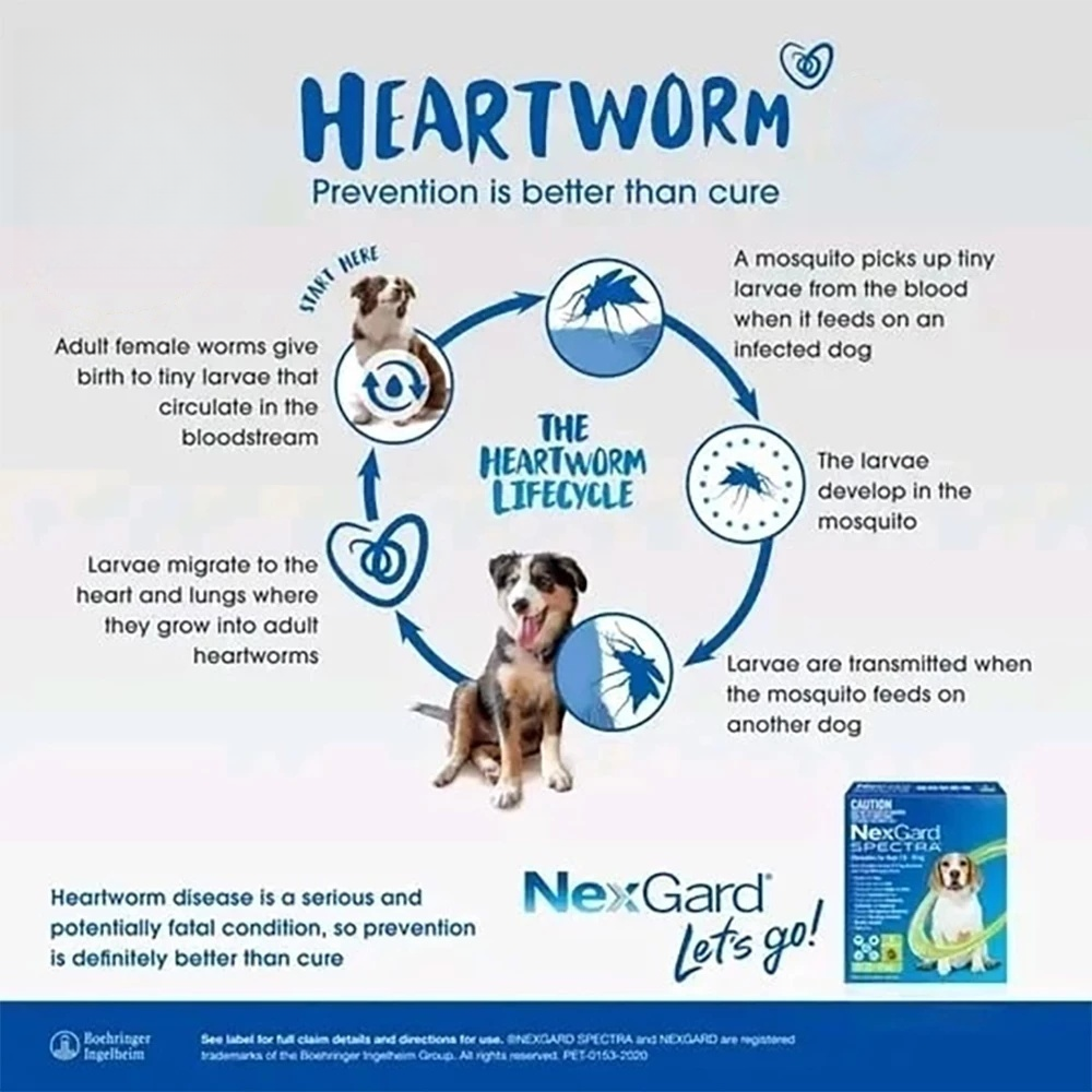 Nexgard Spectra Chewable Deworming Tablets for Dogs Anti Ticks Fleas ...