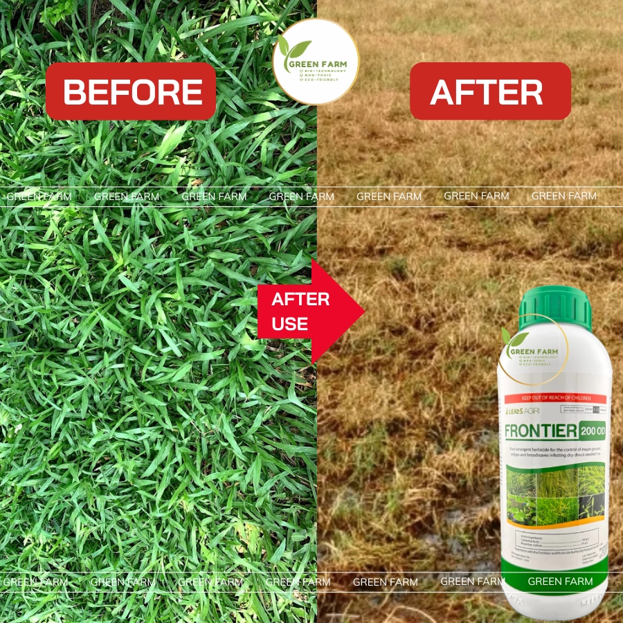 FRONTIER 200 od Herbicide, Herbicide for tree 3x faster by Leads Agri ...