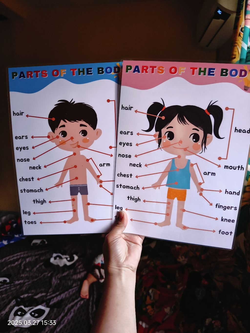 EDUCATIONAL CHART FOR KIDS LAMINATED A4 SIZE | Shopee Philippines