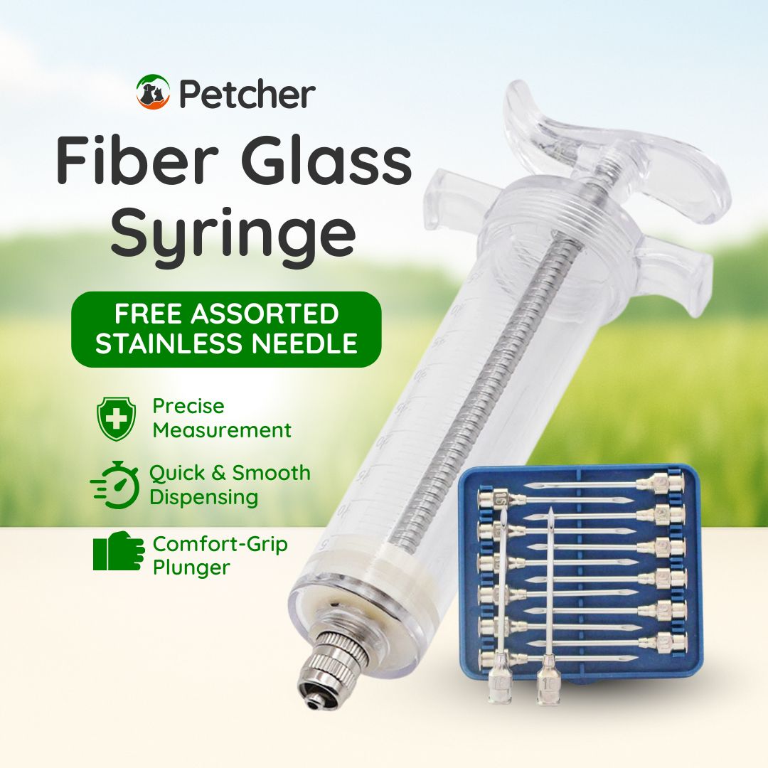 Fiberglass Syringe 20ml FREE 1 Dozen Needles Heavy Duty Hand Feeding ...