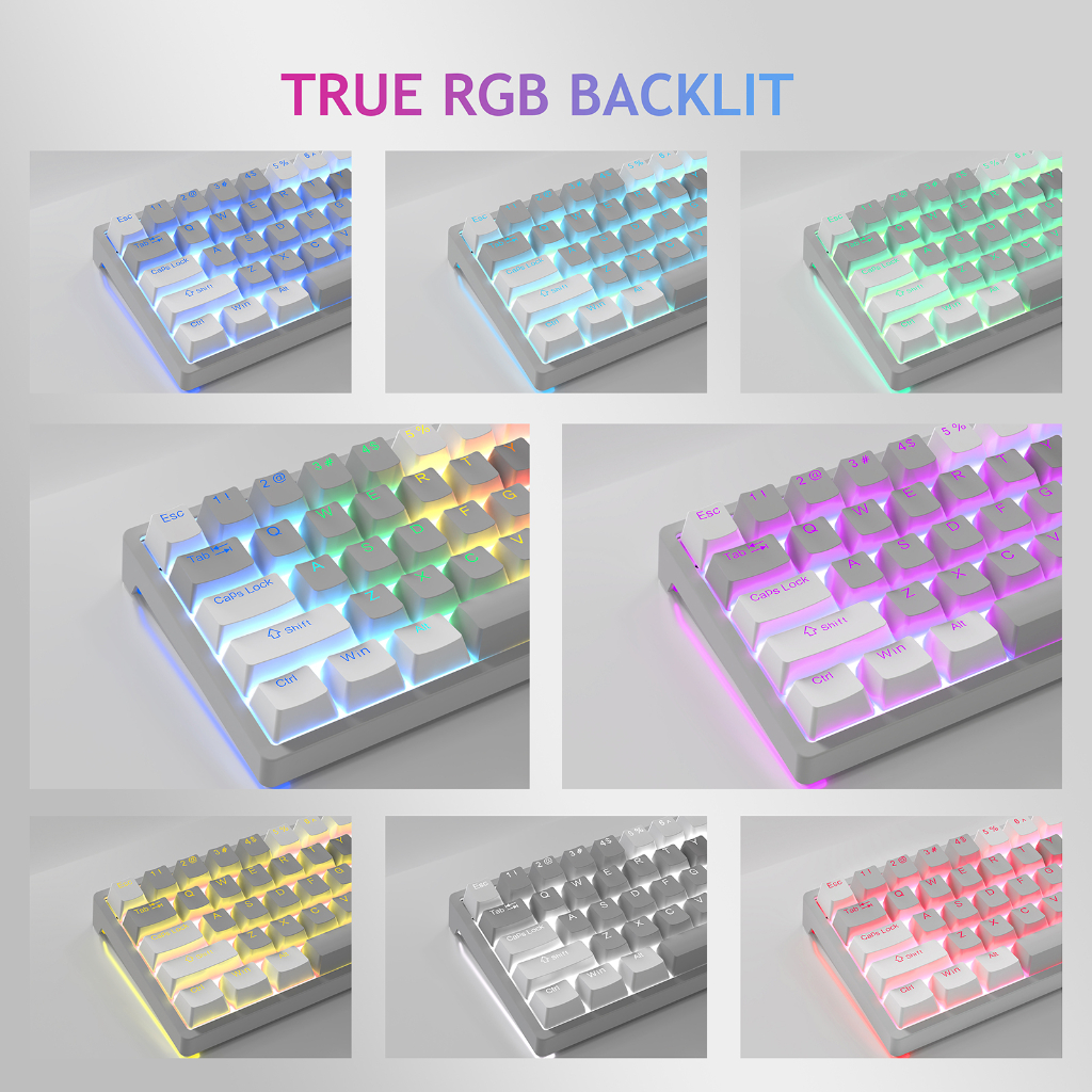 AULA F3261 61 Keys Wired Mechanical Keyboard RGB Hot Swappable Compact ...