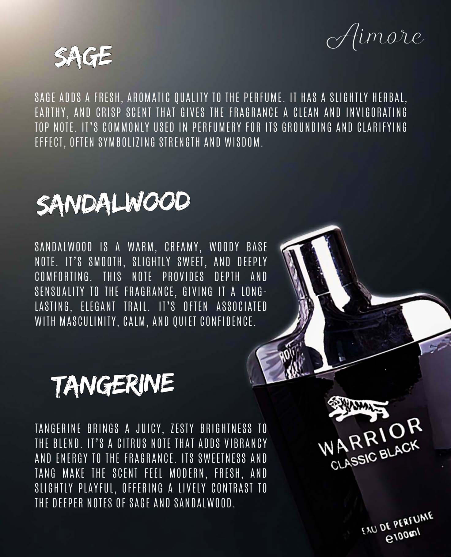 AIMORE | WARRIOR CLASSIC SWEET MASCULINE PERFUME FOR MEN 100ML LOVALI ...