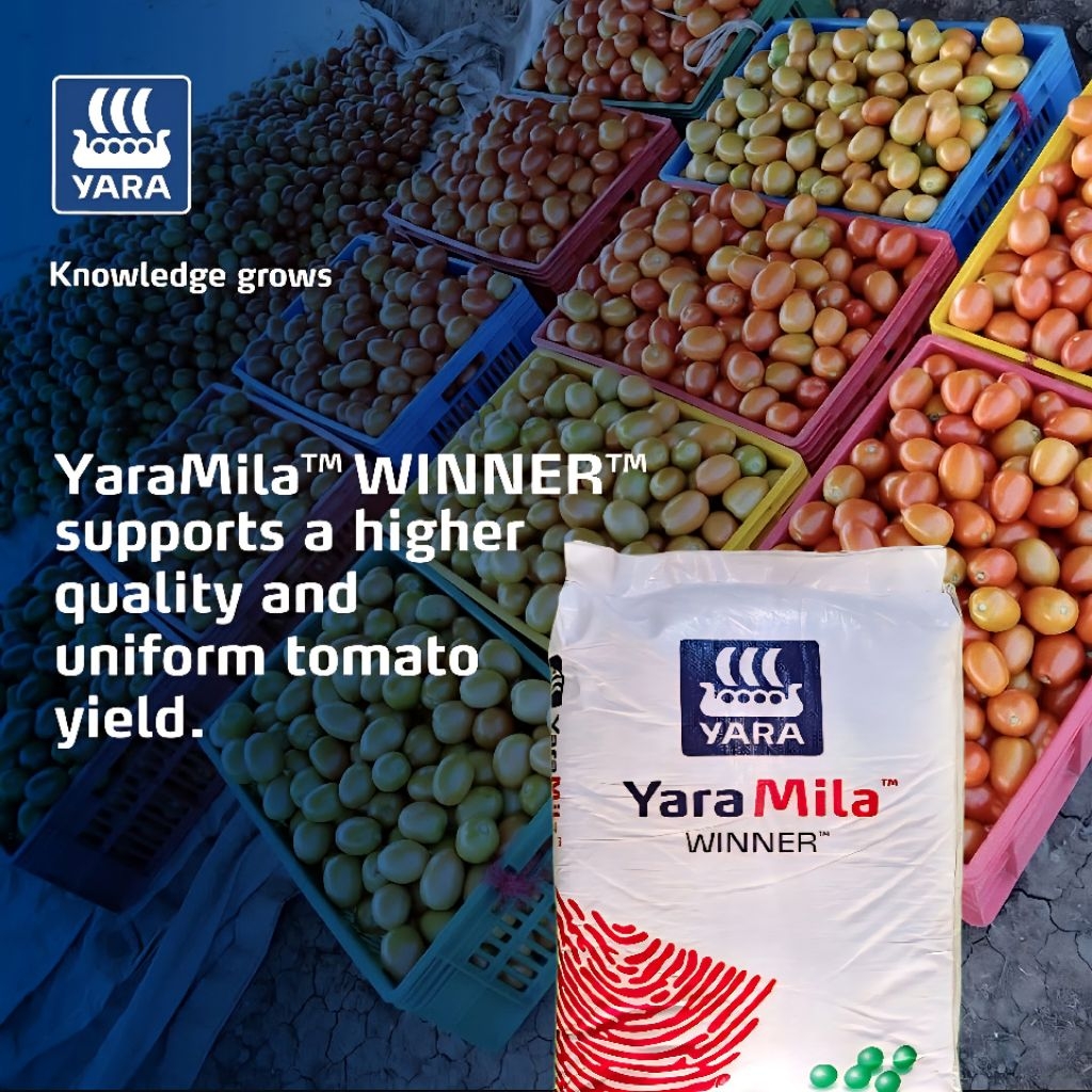 YaraMila Winner 15-9-20 + Micronutrients Fertilizer Per Kilo | Shopee ...