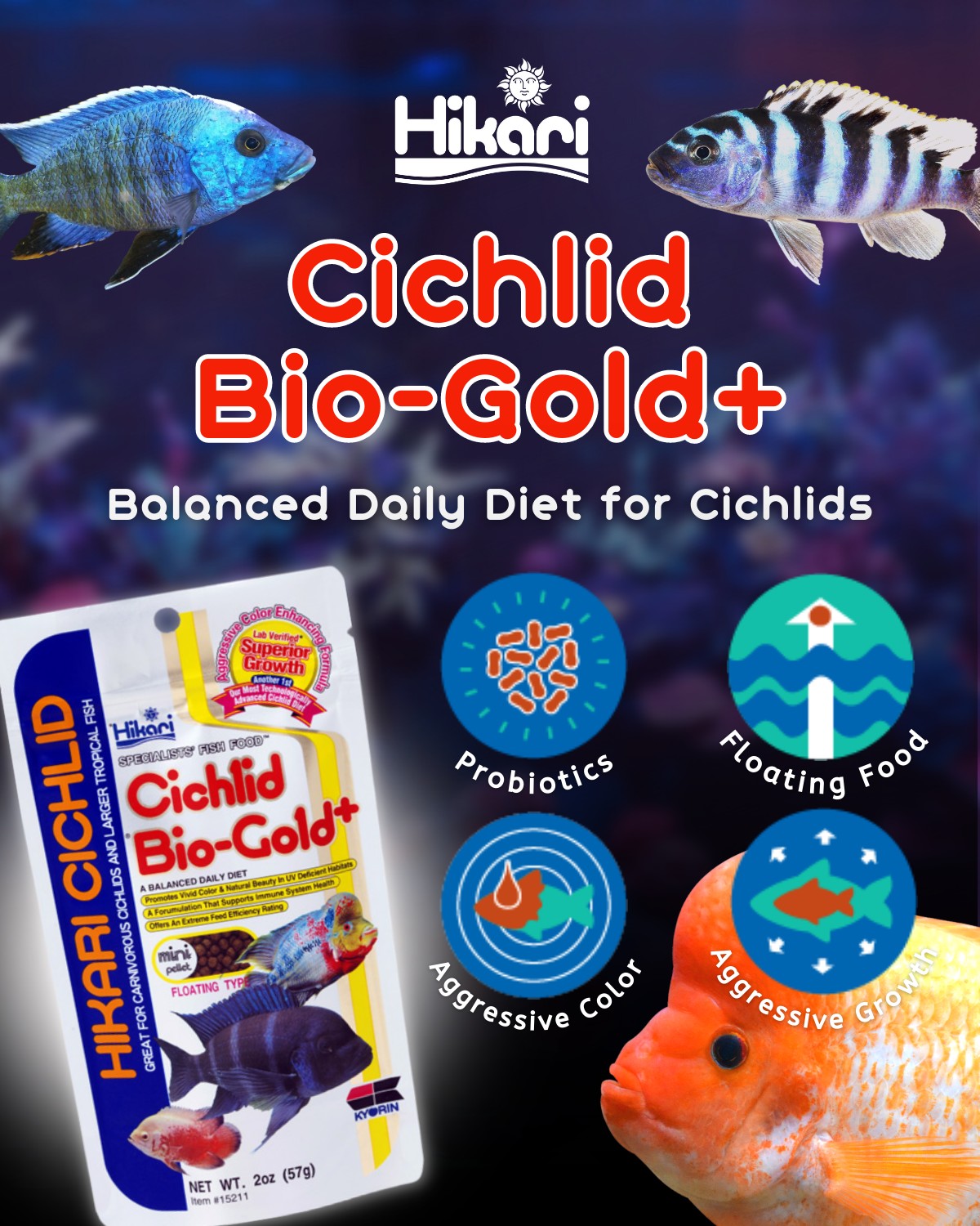 Hikari Cichlid Bio-Gold Plus + (Superior Growth, Aggressive Color ...