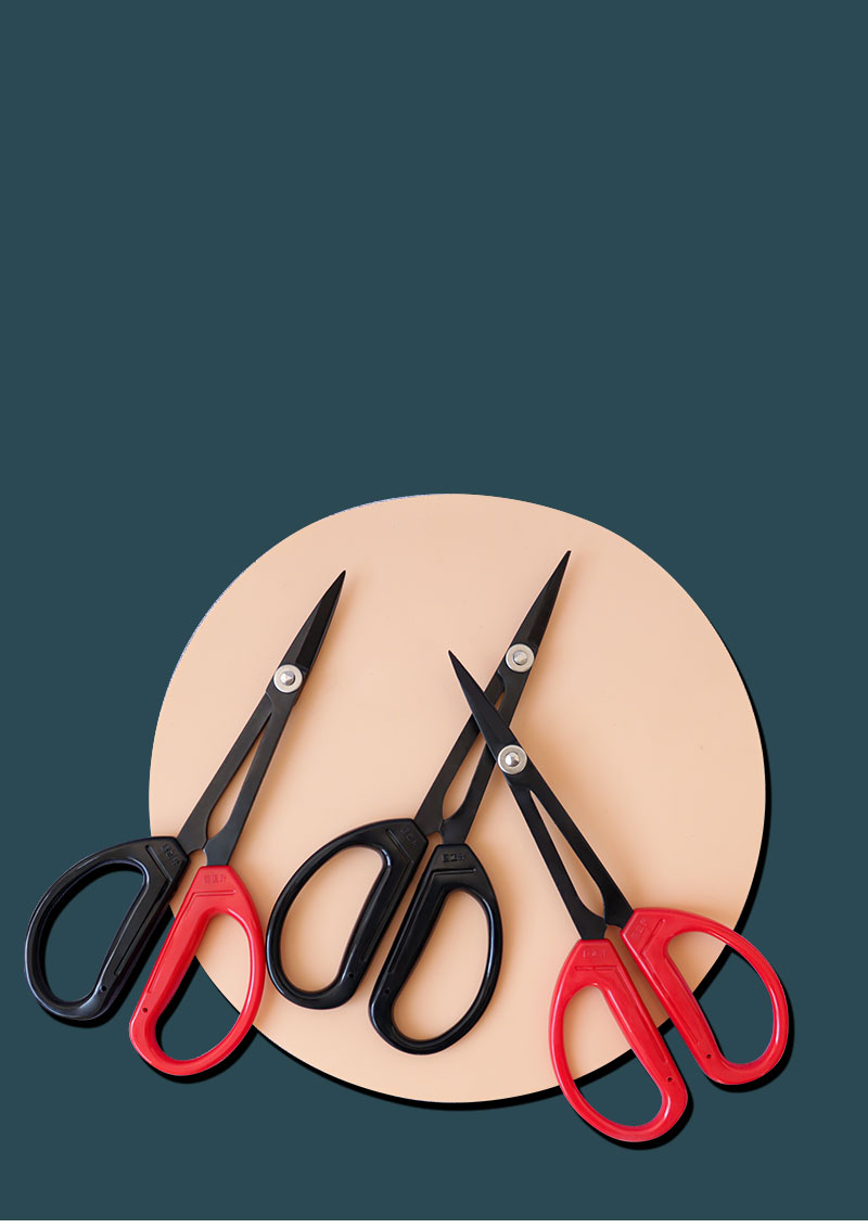 Long Handle Professional Gardening Scissors Precision Trimming for ...