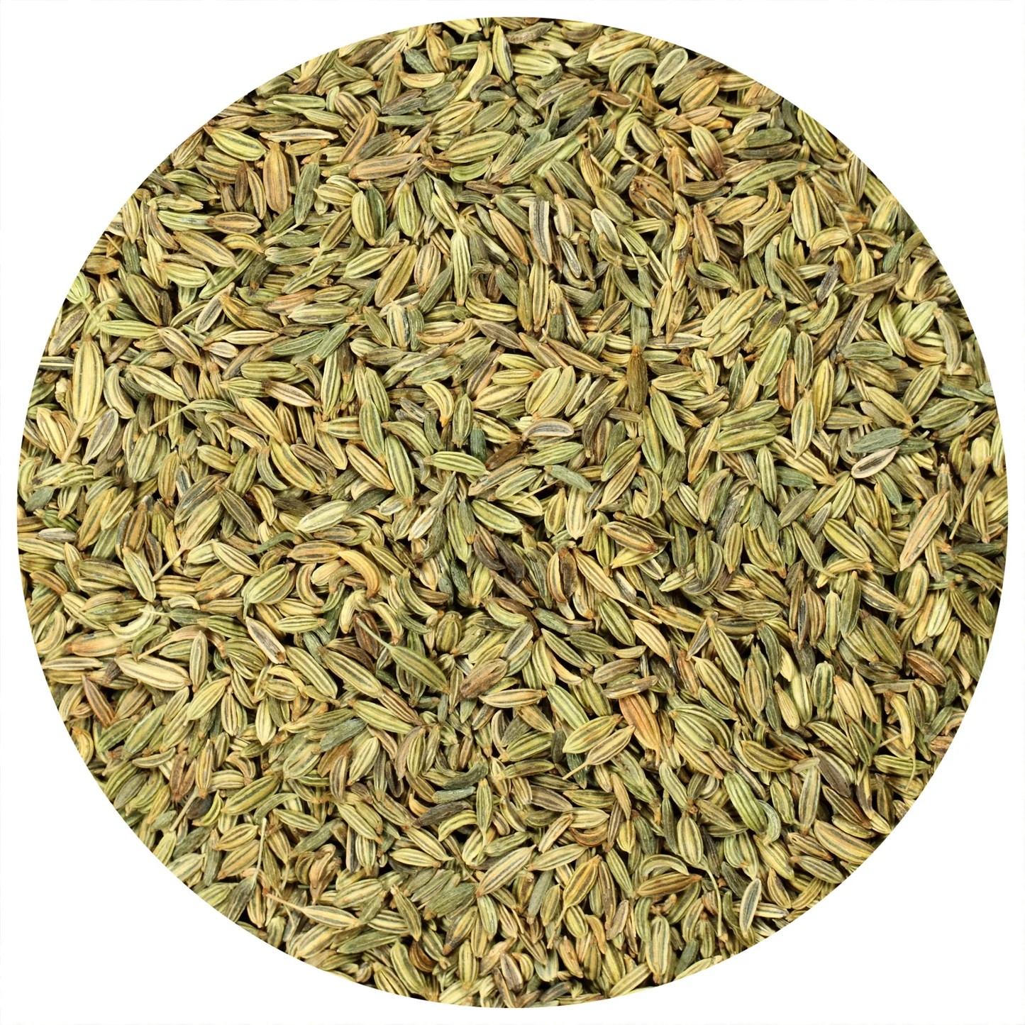 Fennel Seed, Herbs, Spices & Seasonings | Shopee Philippines