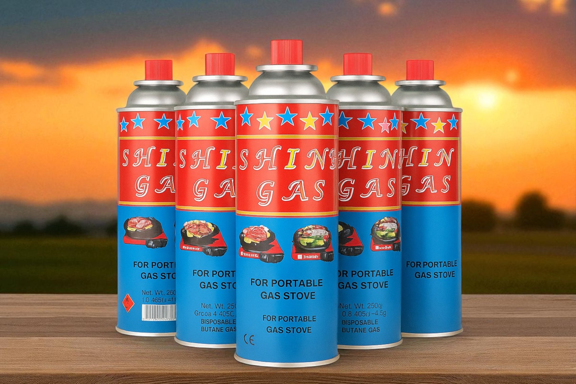 SHINE 250g Butane – For Everyday Gas Stove Needs 4pcs | Shopee Philippines