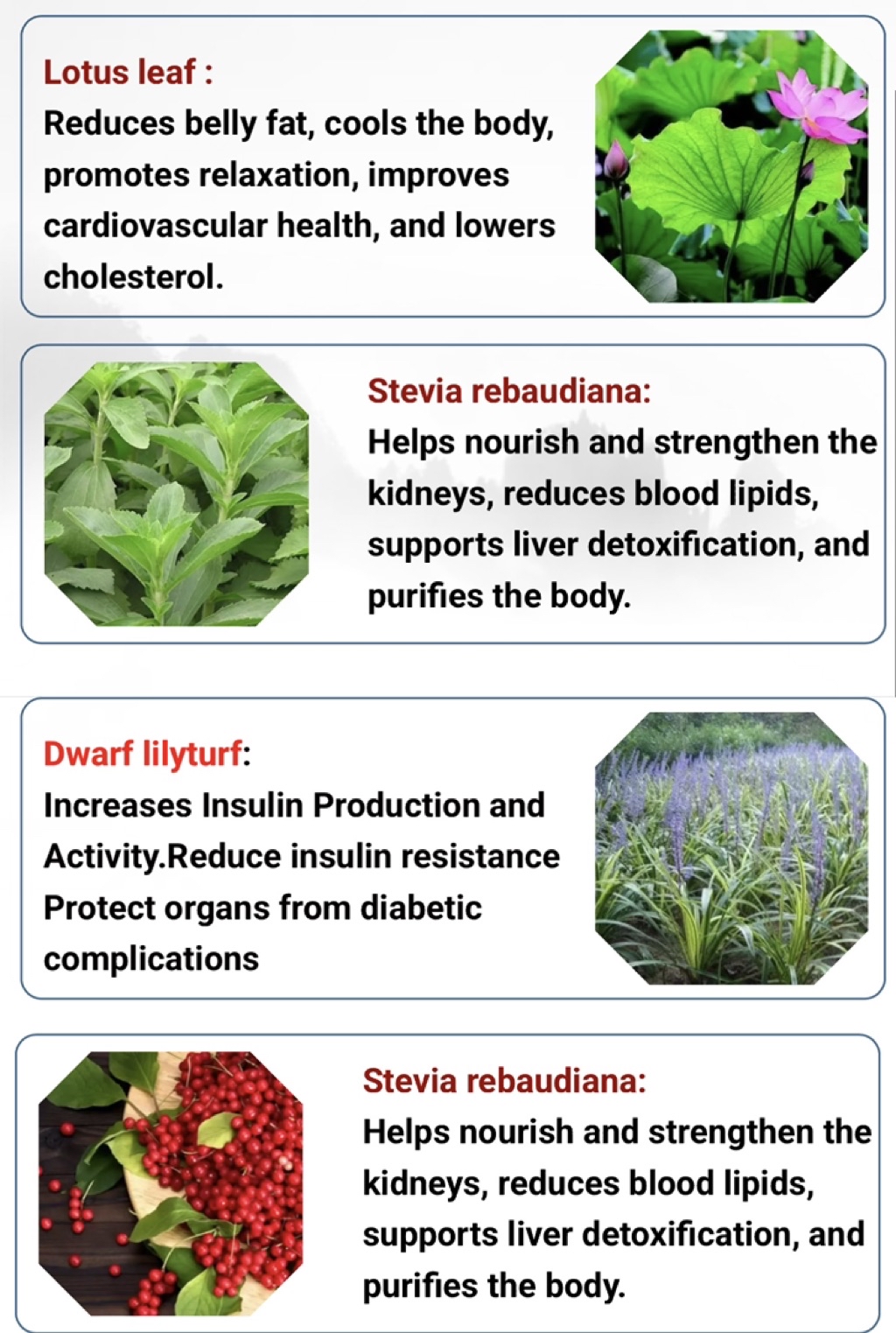 Natural Herbal Tea Glu Tea Gold Tea Bag 100% Natural | Shopee Philippines