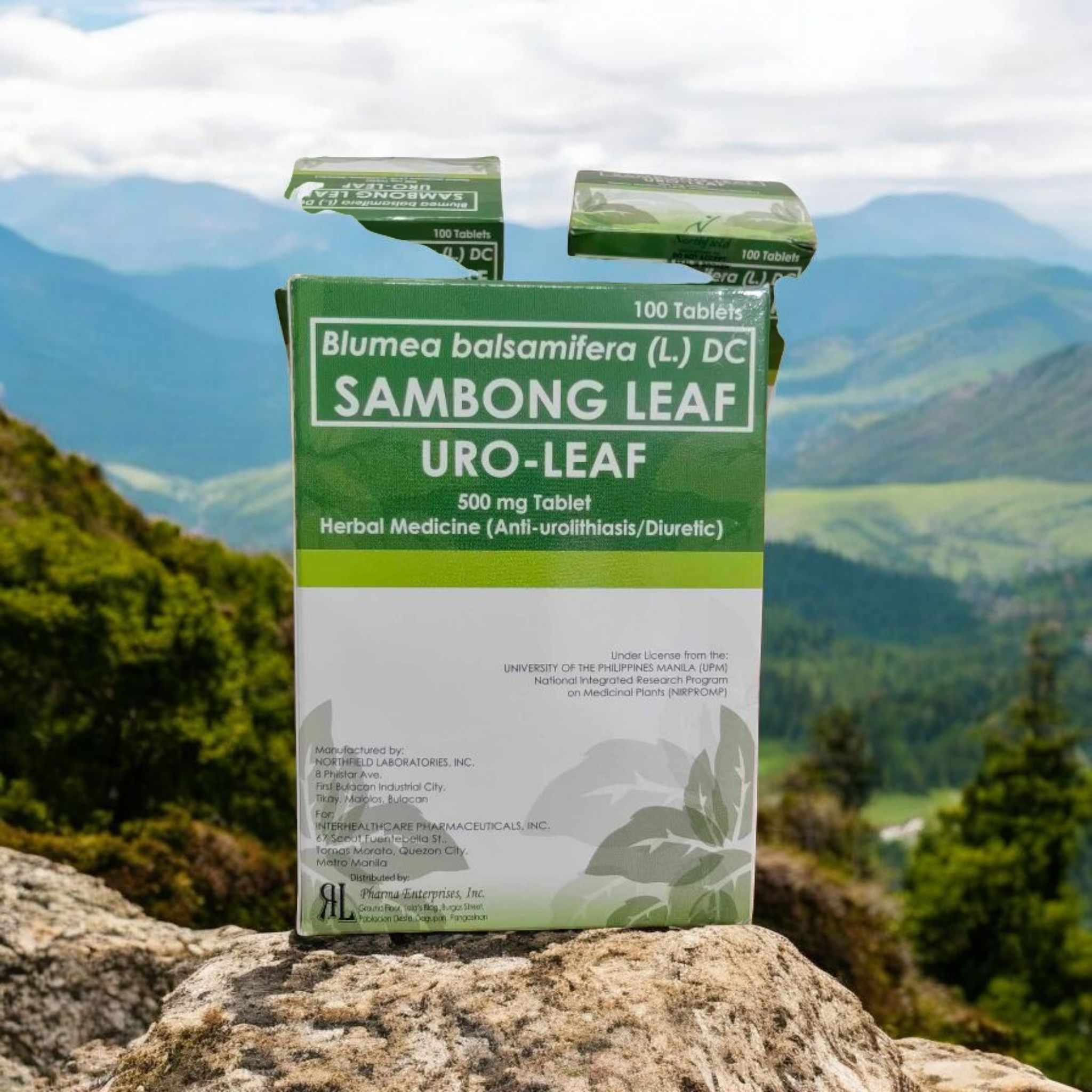 SAMBONG LEAF (URO - LEAF) 500 mg 100s Tablet | Shopee Philippines