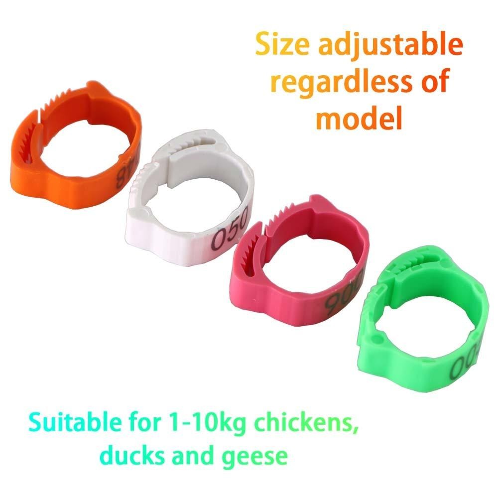 100Pcs Adjustable Chicken Leg Band Tag Identify Ring for Gamefowl Ducks ...