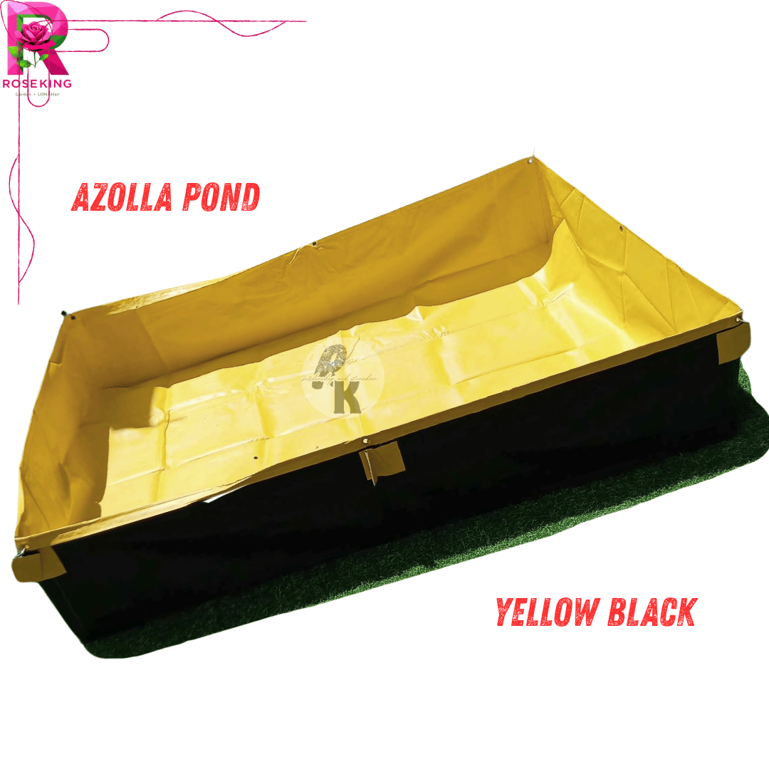 azolla pond 4x3x2ft heavy duty fish tank crayfish tank order now ...