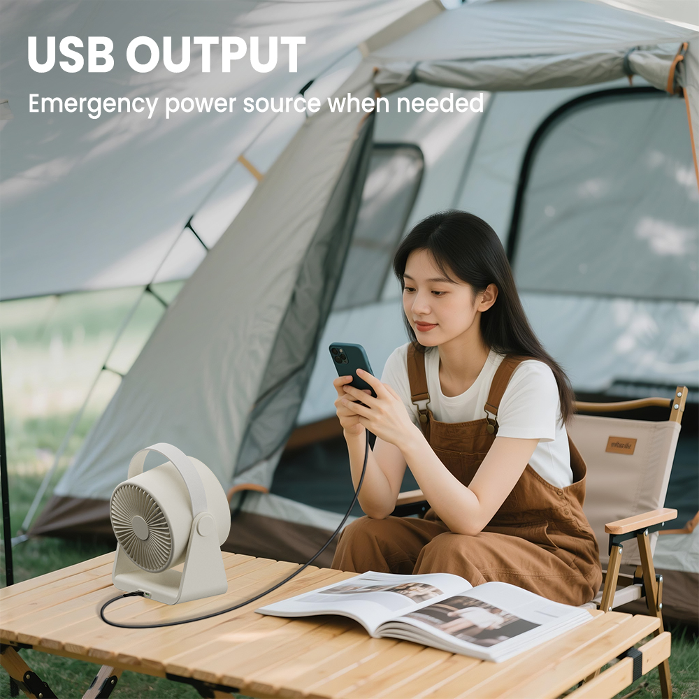 Orashare DF03L Max 20000mAh Rechargeable Desk Fan with LED Light 100 ...