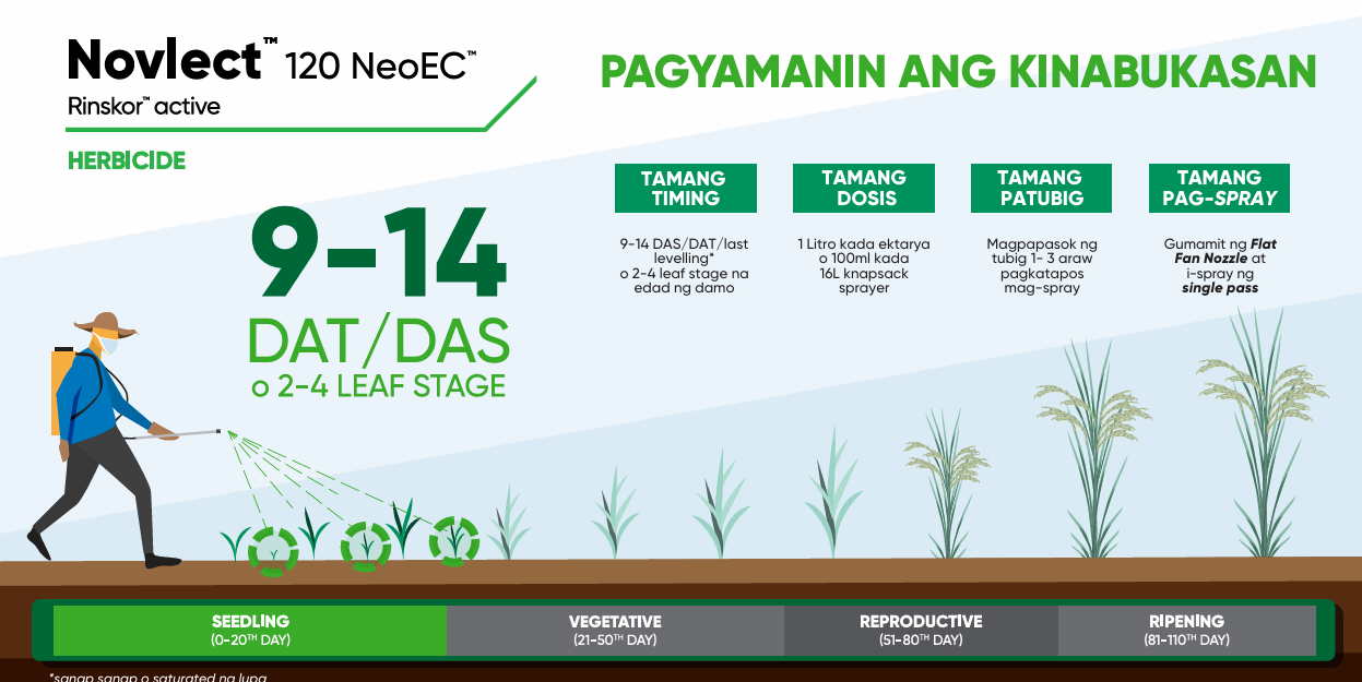 Novlect 120 NeoEC Herbicide Corteva 1L / 500 ml | Shopee Philippines