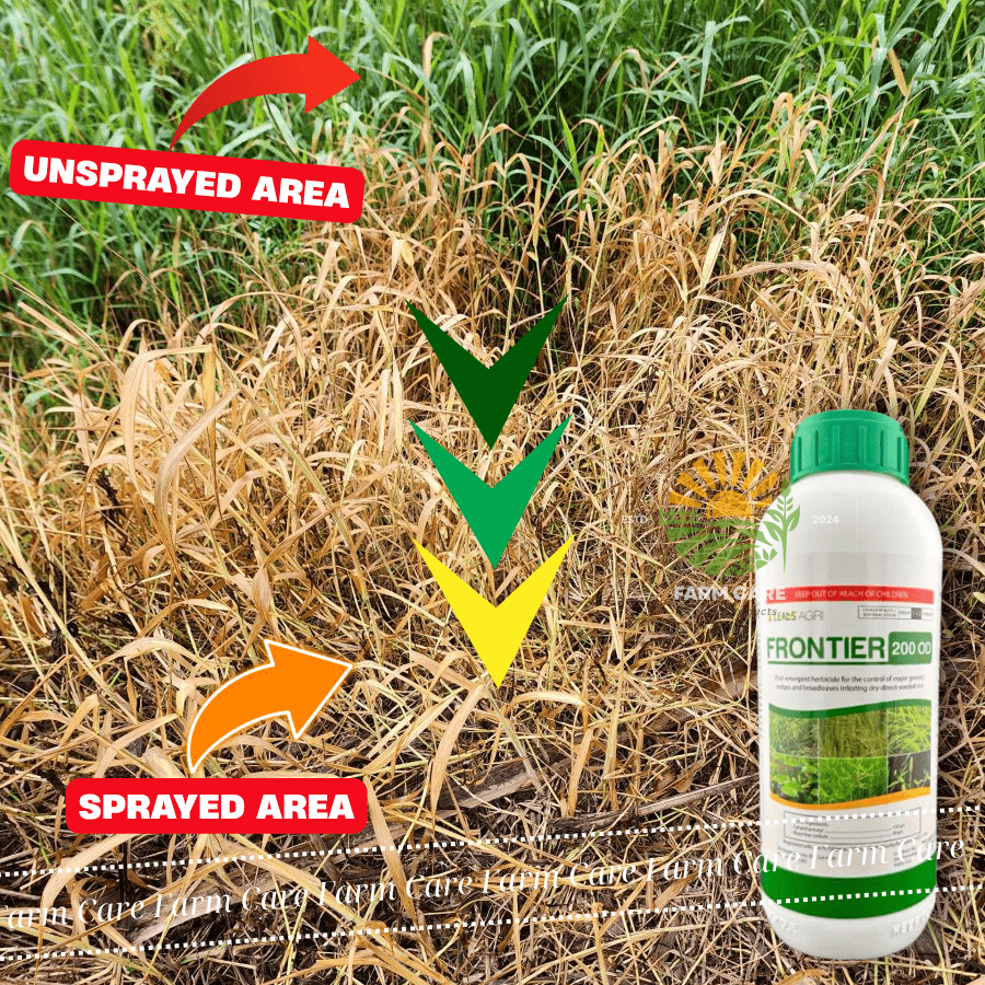 [BEST SELLER] Authentic Frontier Herbicide 1L – Best-Selling Rice Field ...