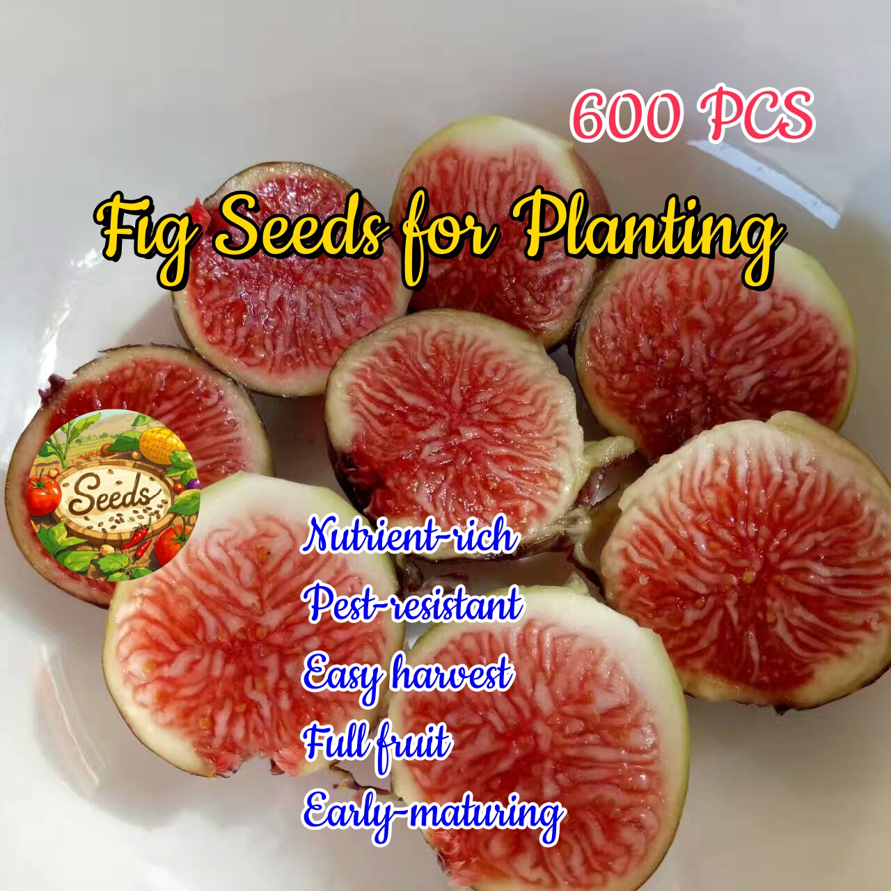 Fresh Dwarf Fig Tree Seeds for Planting Fruits (Fast Growing 600 Seed ...
