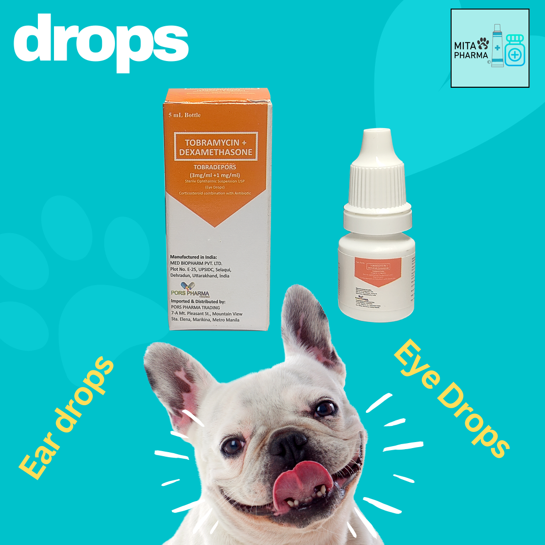 Tobra and Dexa 5ml Tobradepors pet eye or ear drops | Shopee Philippines