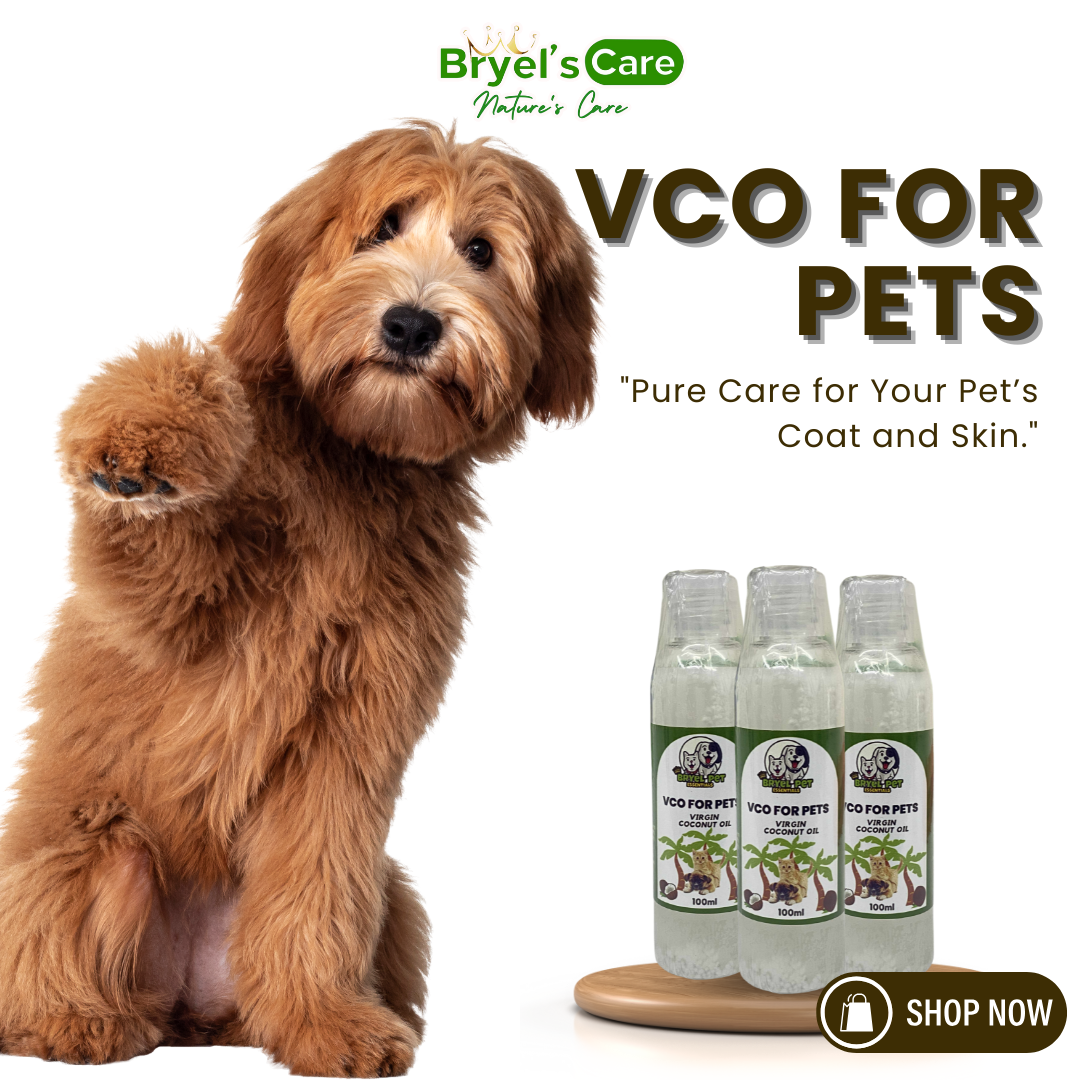 VIRGIN COCONUT OIL FOR CATS & DOGS VCO For Pets (Virgin Coconut Oil) is ...