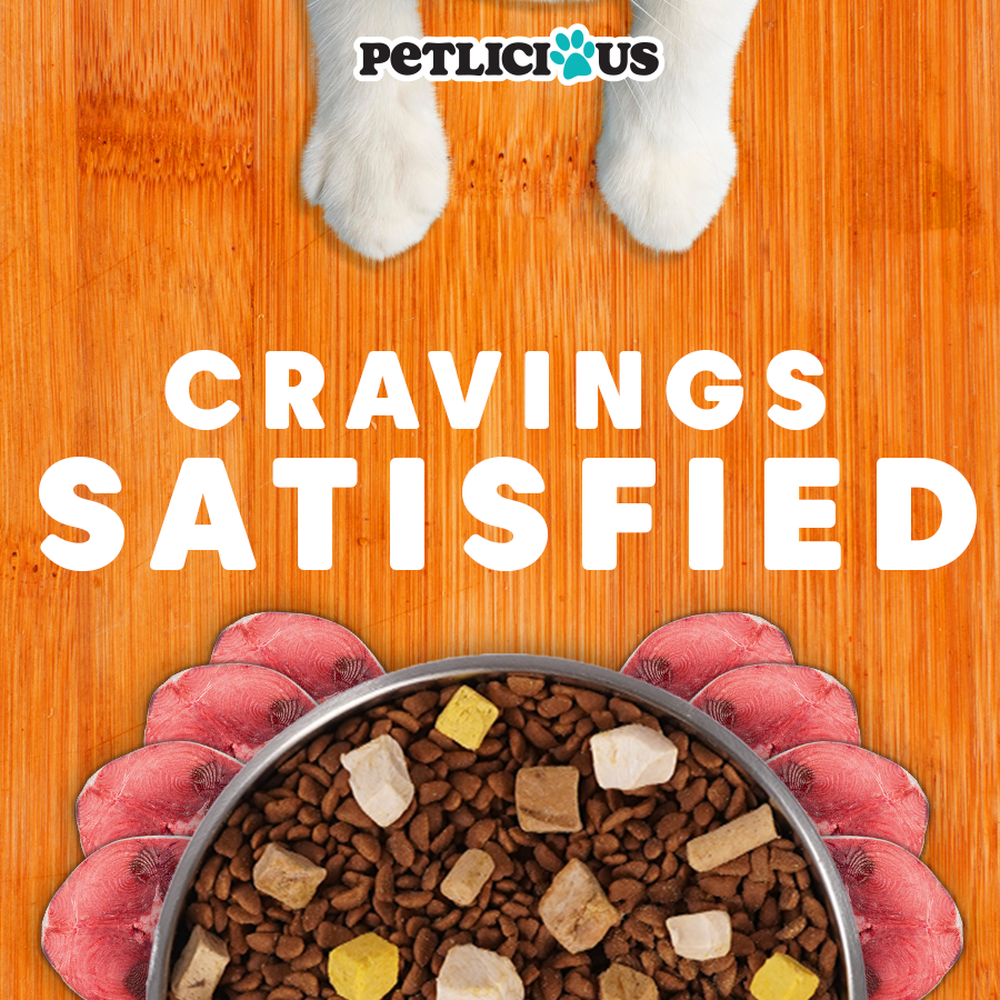 Petlicious Freeze Crunch Cat Dry Food with Freeze Dried topper Salmon ...