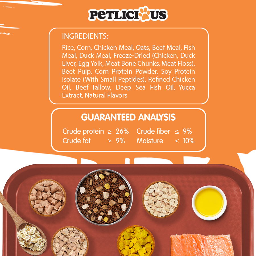 Petlicious Freeze Crunch Cat Dry Food with Freeze Dried topper Salmon ...