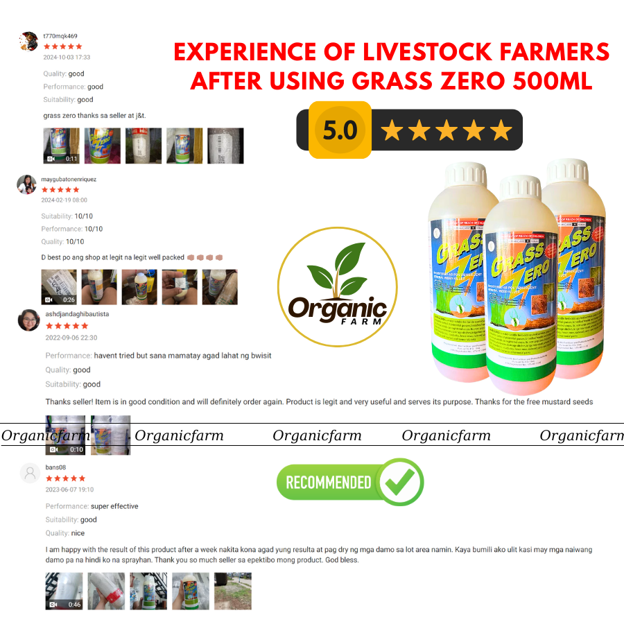 [BUY 1 GET 1]Grass Zero Herbicide 500ml – Eliminates Tough Weeds, Safe ...