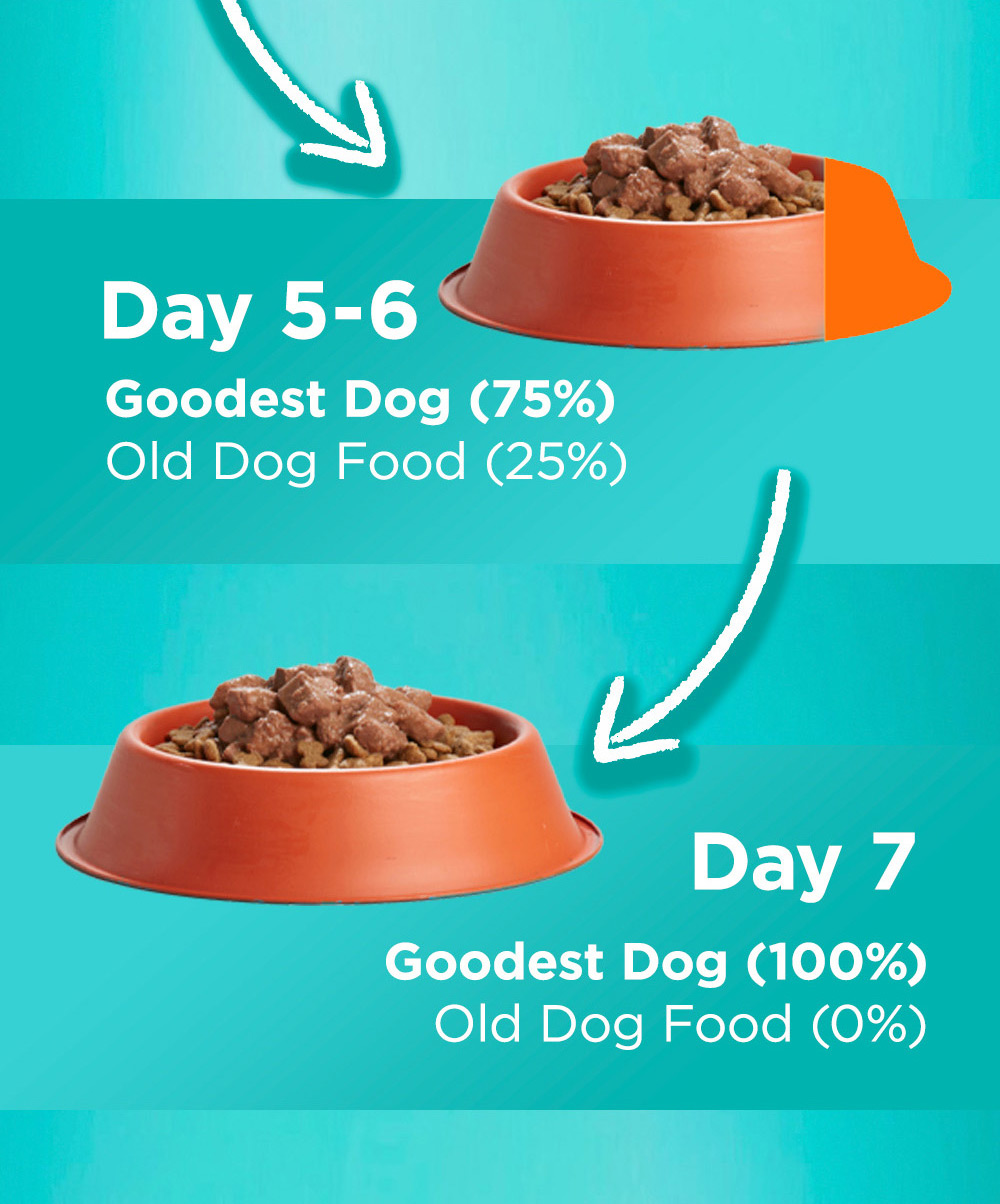Goodest Dog Wet 80g Pack of 12 (Beef and Liver, Grilled Chicken and ...