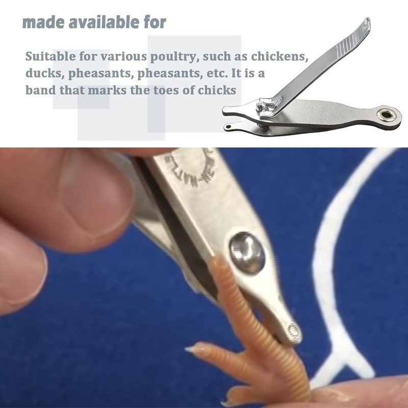 2mm Stainless Steel Chick Toe Puncher Marking Tags Gamefowl Chick for ...