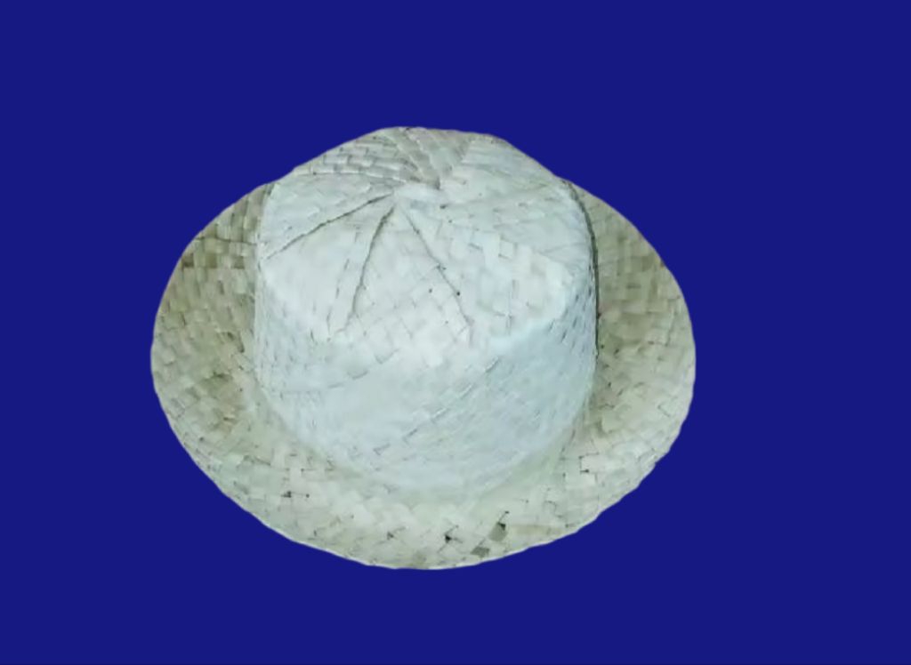 BURI HAT KATIPUNERO HAT MAGSASAKA HAT | Shopee Philippines