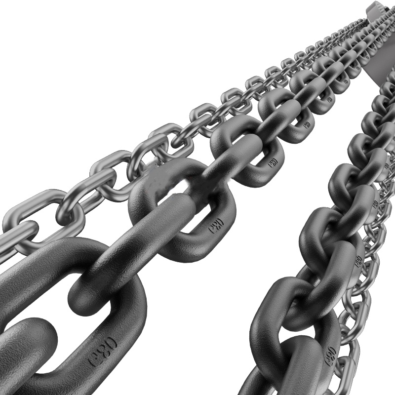 1/2/3 Tons Chain Block / Lifting Chain 1/2/3/5 Tons Weight Capacity ...