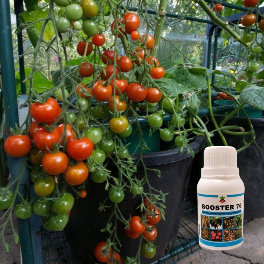 (BIG SAVINGS) COMBO of 10 Bottles BOOSTER 76(150ml)Organic Foliar ...