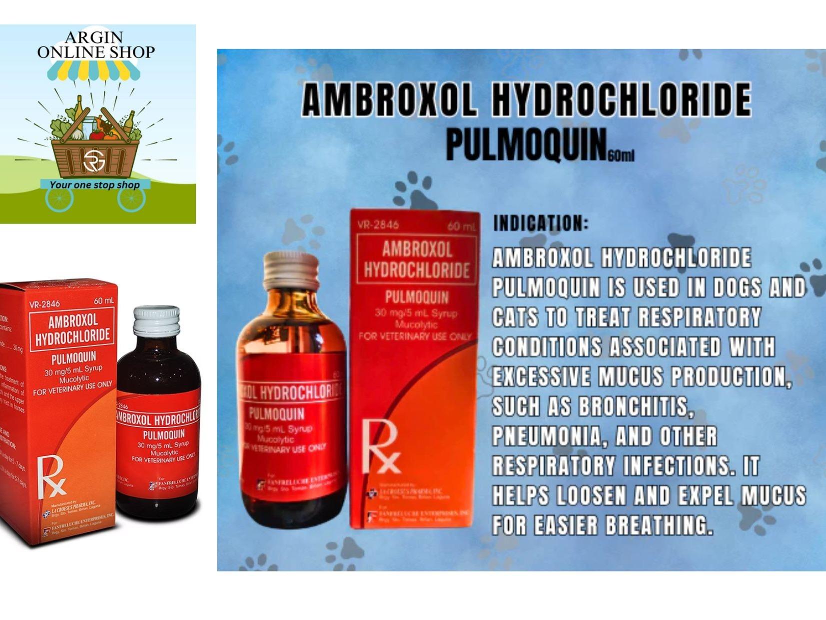 PULMOQUIN Mucolytic Ambroxol/hydrochloride (60ml) | Shopee Philippines