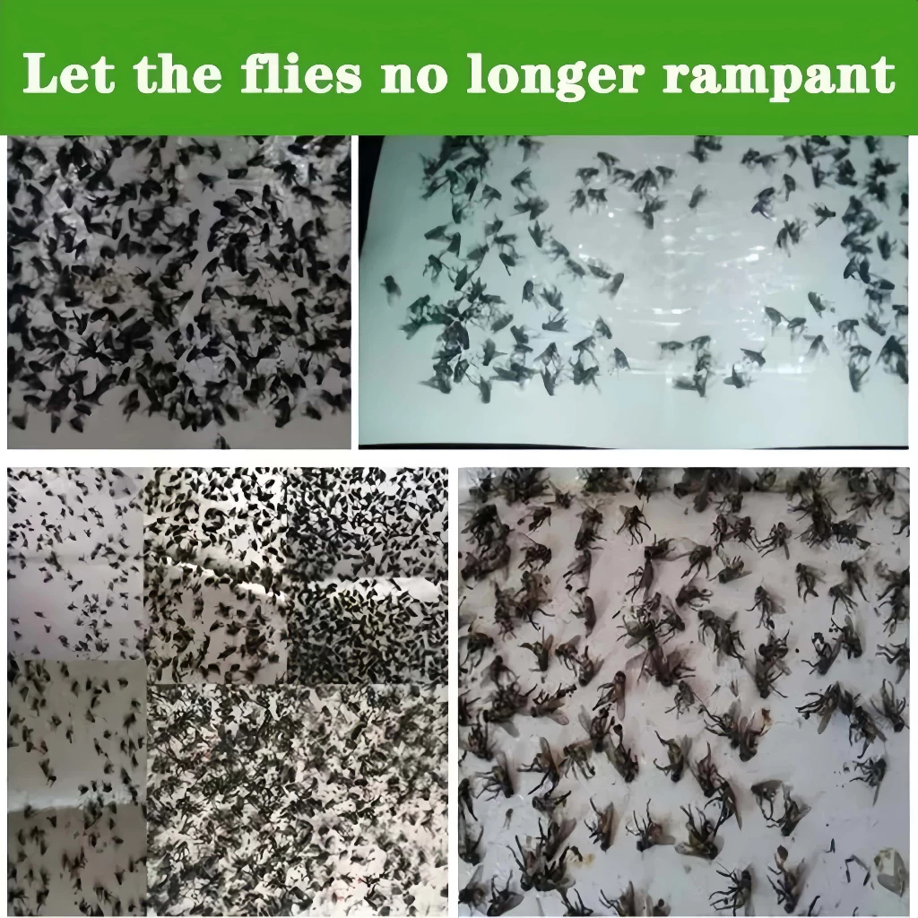 Fly Trap Sticky 10pcs/bag Catch flies Fly Glue Board for Indoor Flies ...