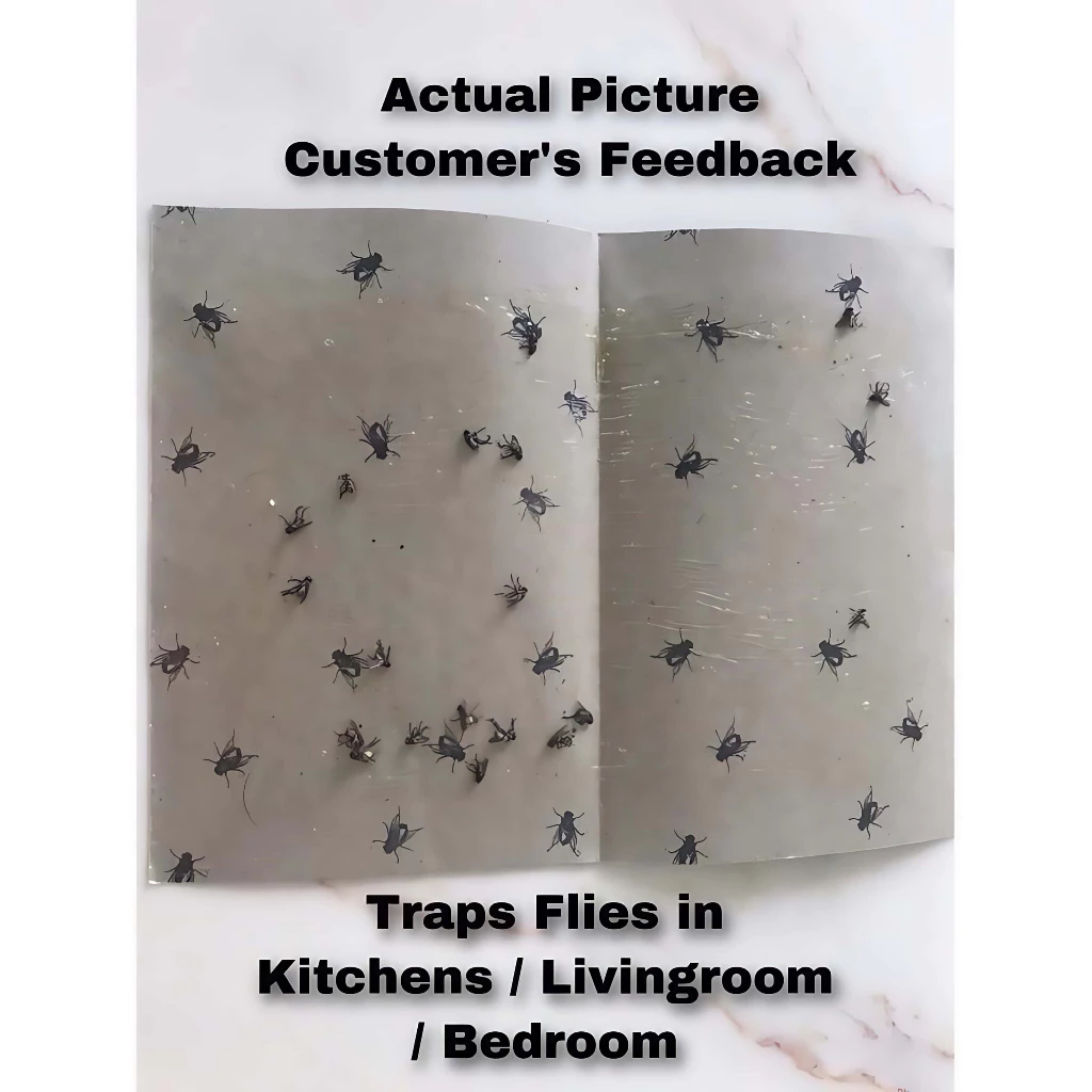 Fly Trap Sticky 10pcs/bag Catch flies Fly Glue Board for Indoor Flies ...