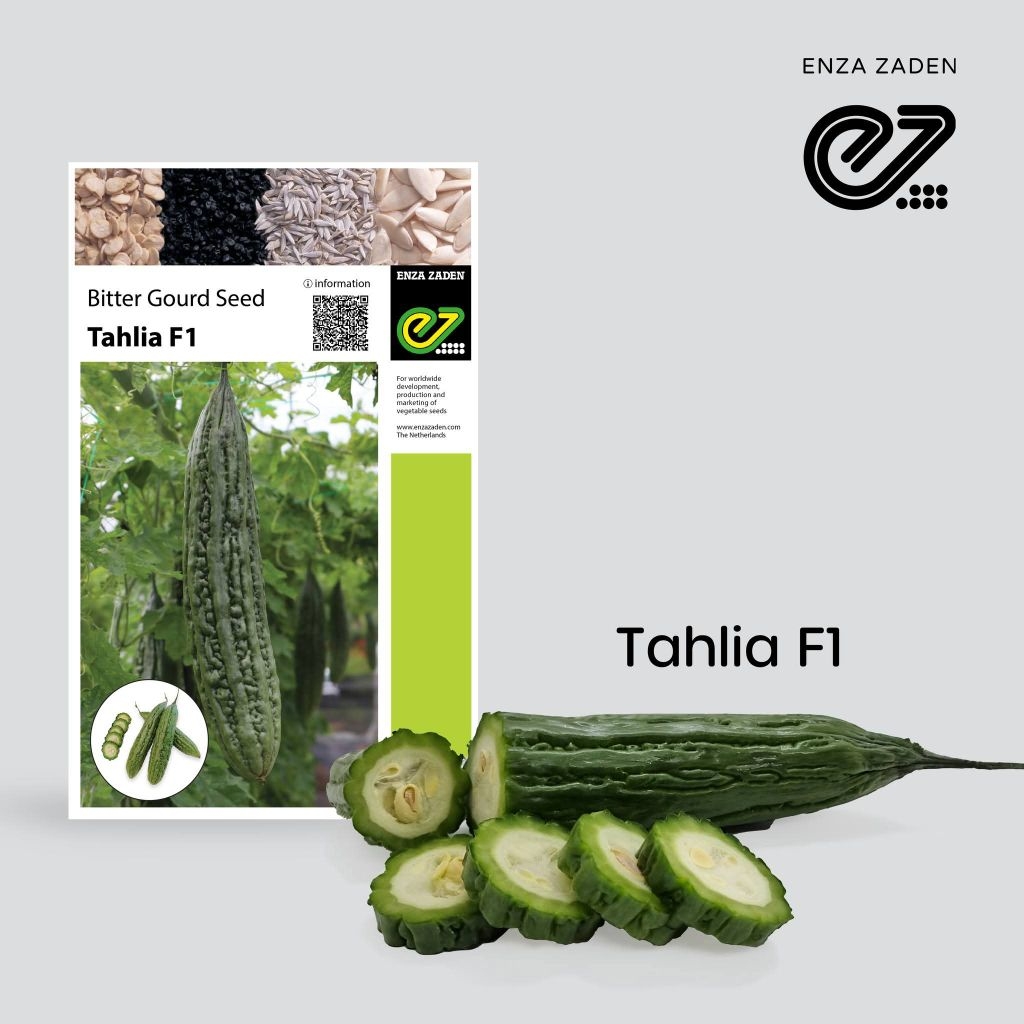 Tahlia F1 Hybrid Ampalaya / Bitter Gourd / 500 seeds - Enza Zaden ...
