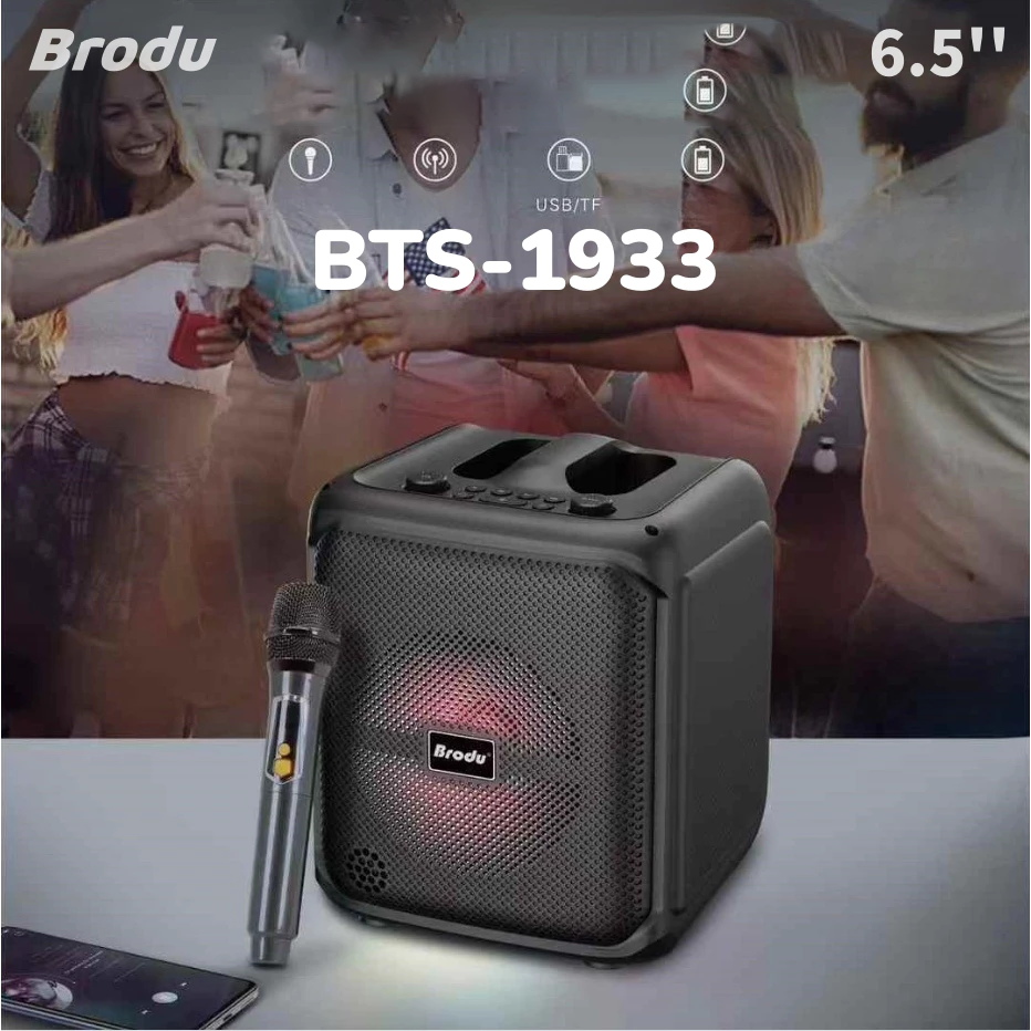Brodu BTS-1935 6.5 inch IKARAOKE BOX professional system Bluetooth speaker with microphone ...