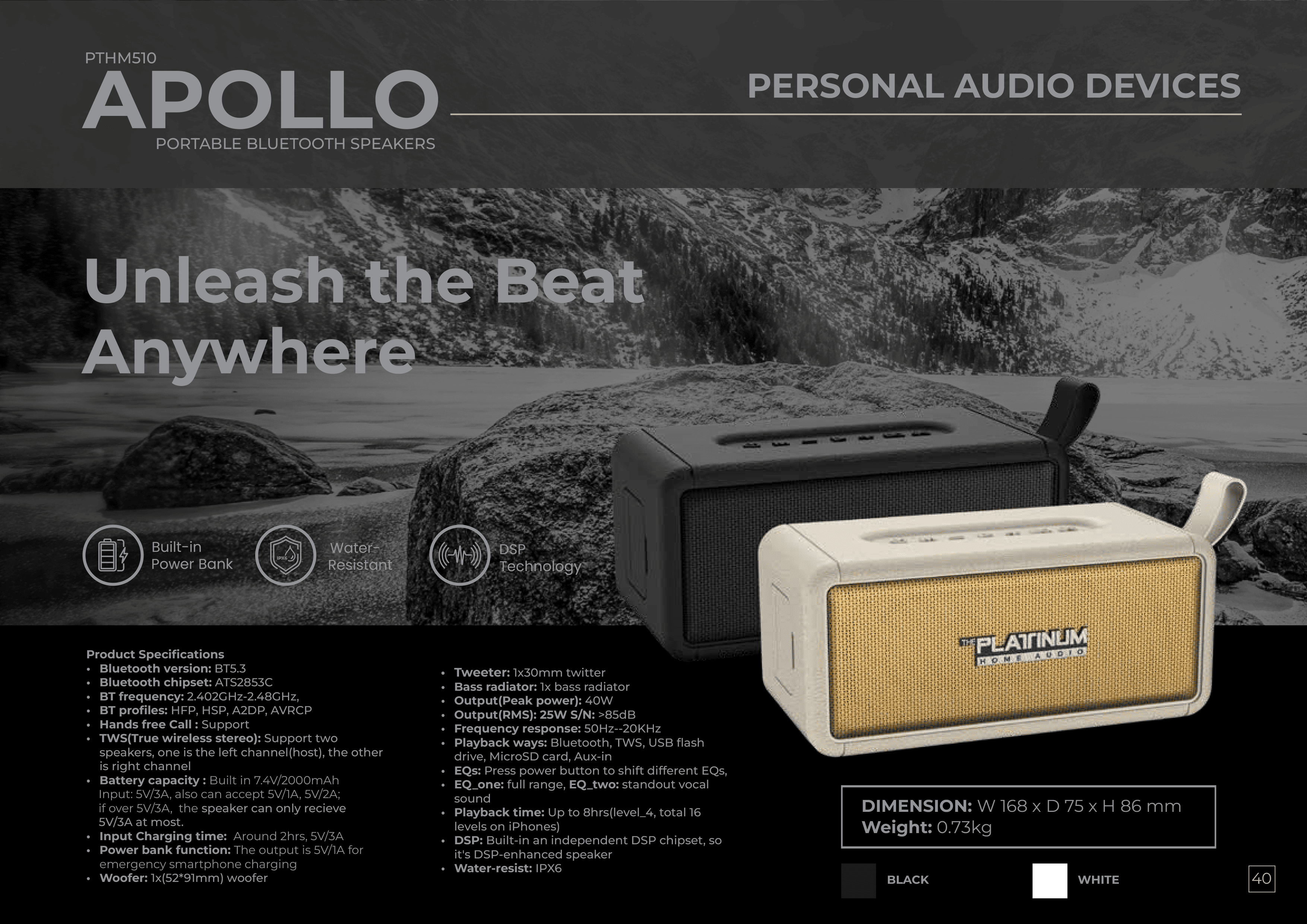 Platinum Apollo Series Portable Bluetooth Speaker | Shopee Philippines
