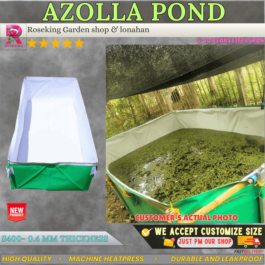 3x20x1feet azolla pond/ fish tank heavy duty, pang matagalan | Shopee ...