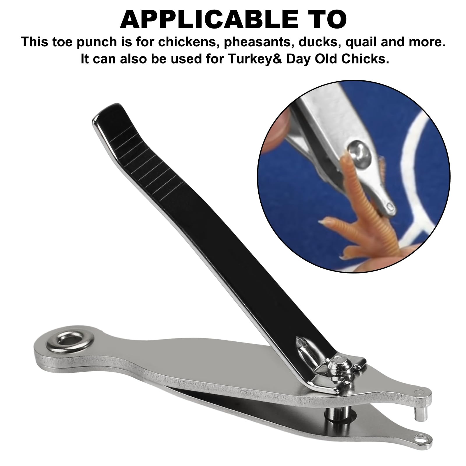 2mm Stainless Steel Chick Toe Puncher Marking Tags Gamefowl Chick for ...