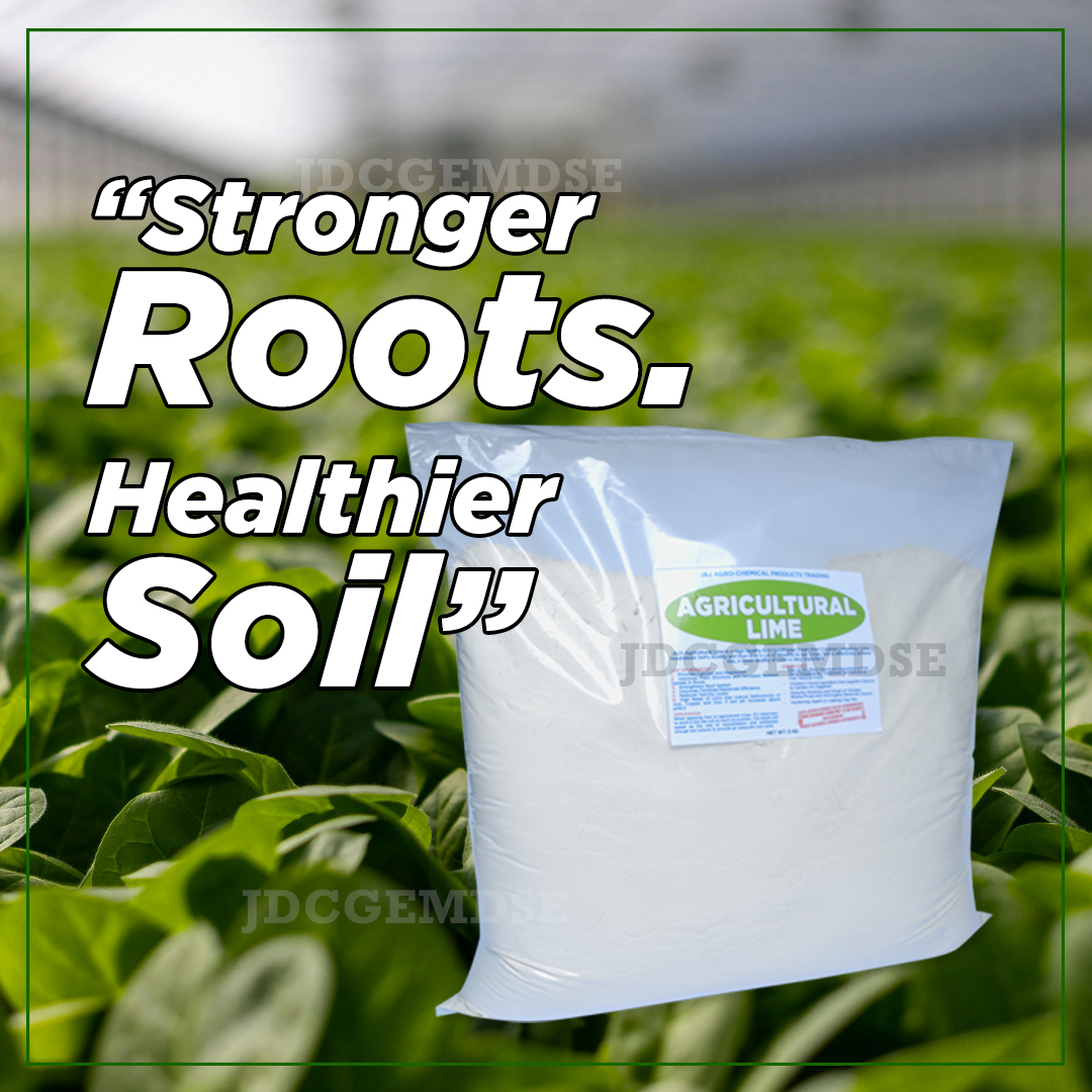 10 kg. High Quality Agricultural Lime / Apog / 100 mesh fine powder ...