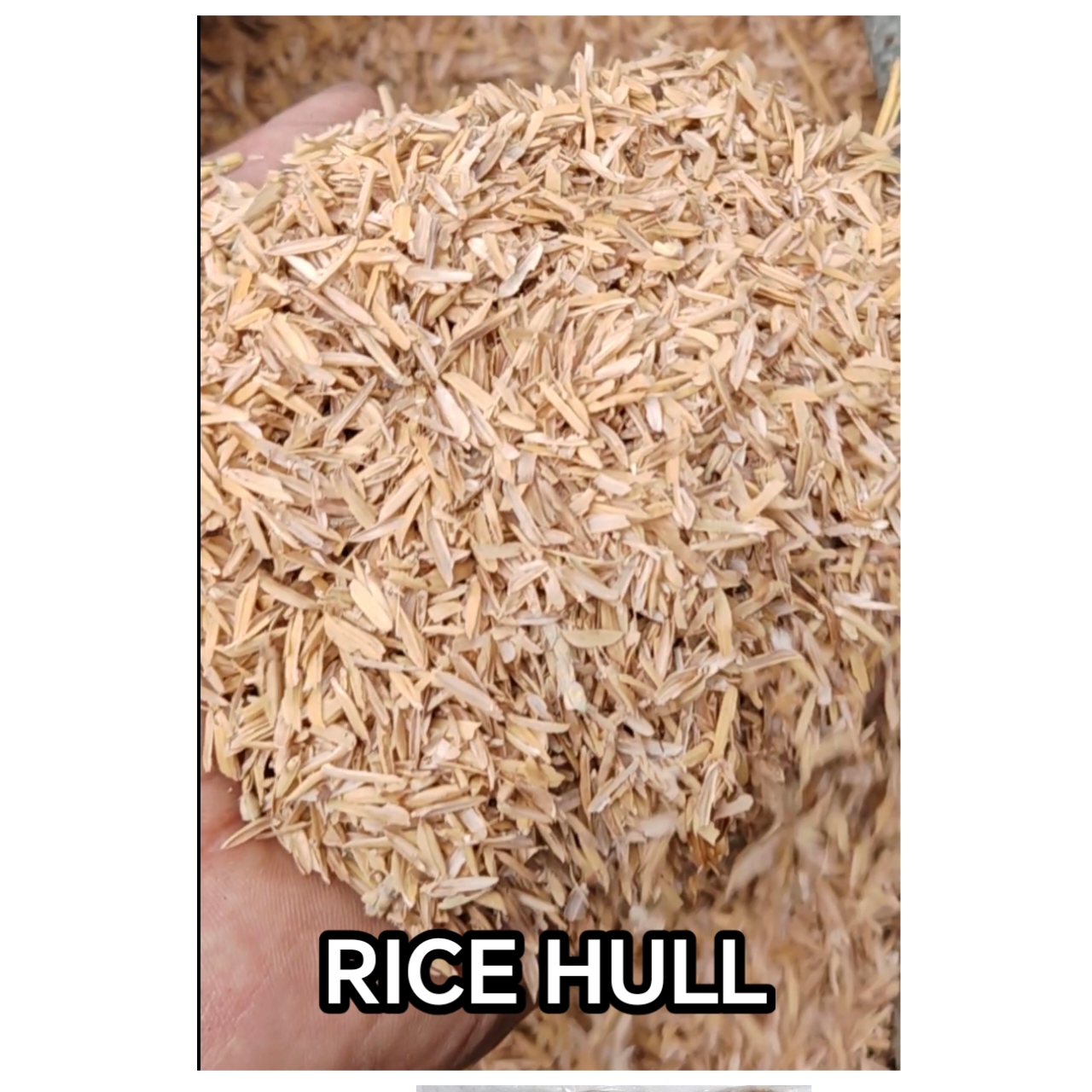 IPA Rice hull 500grams | Shopee Philippines