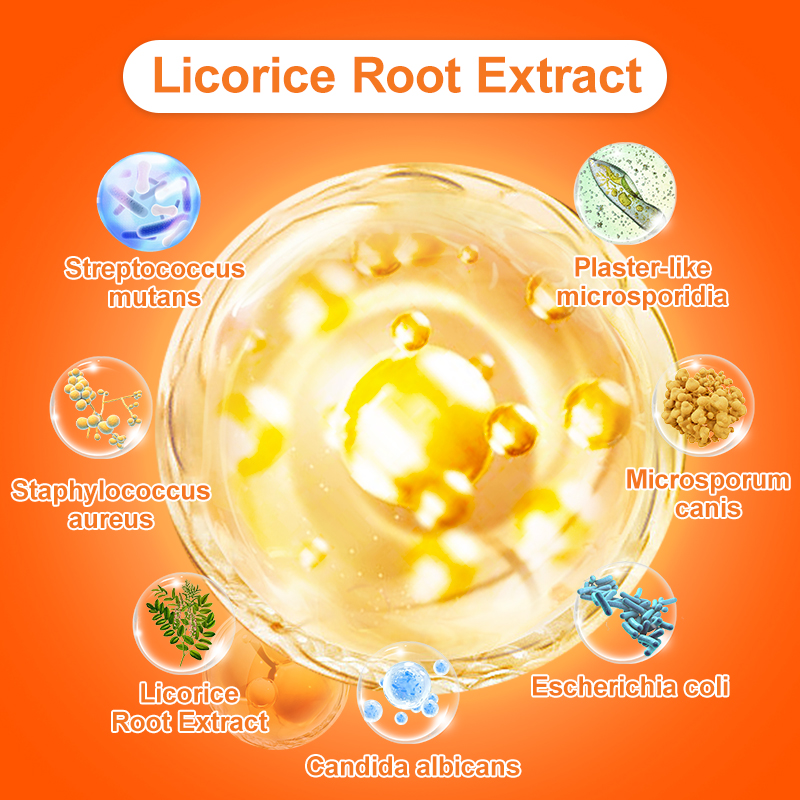 PUAINTA Antifungal Pipot Skin Spray for Dogs and Cats Skin Disease Itch ...