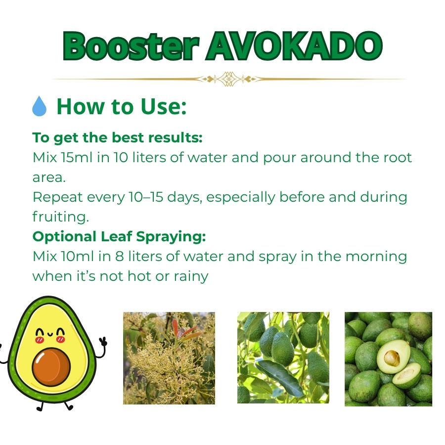 AVOCADO BOOSTER 500ML – Liquid Fertilizer & PGR for Avocado ...