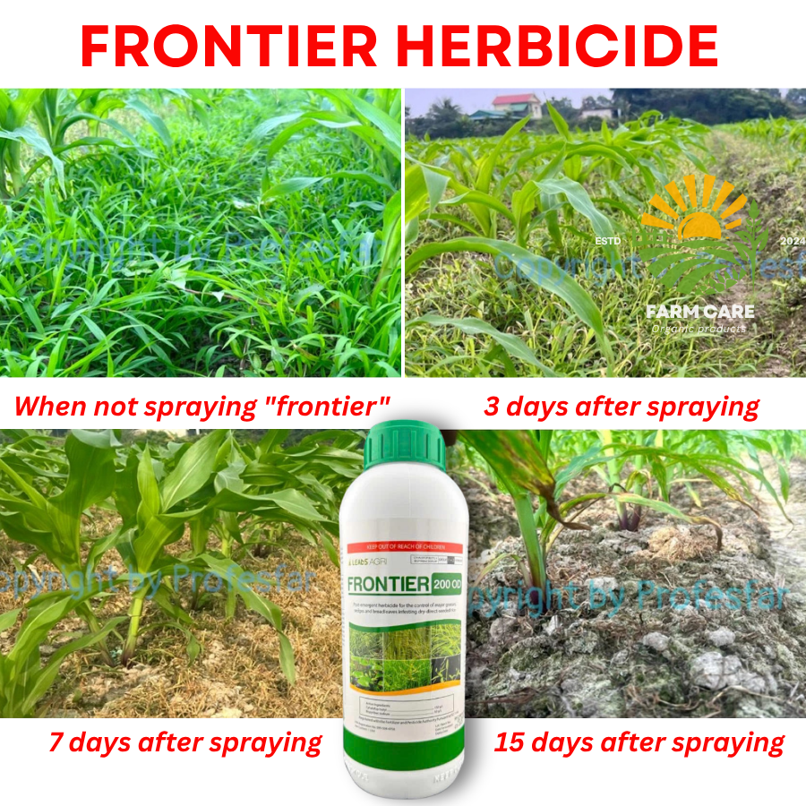 [HOT DEAL] FRONTIER HERBICIDE 1 LITER – Effectively Kills Sedge And ...