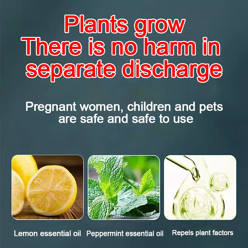 10Pcs Powerful Rat Repellent Ball / Pests Rat Repeller Pills / Mice ...