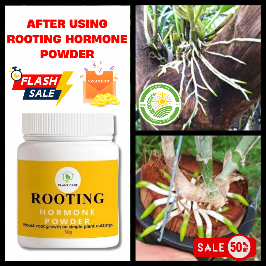 Rooting Hormone Powder 50g – Boost Root Growth for Cuttings, Seeds ...