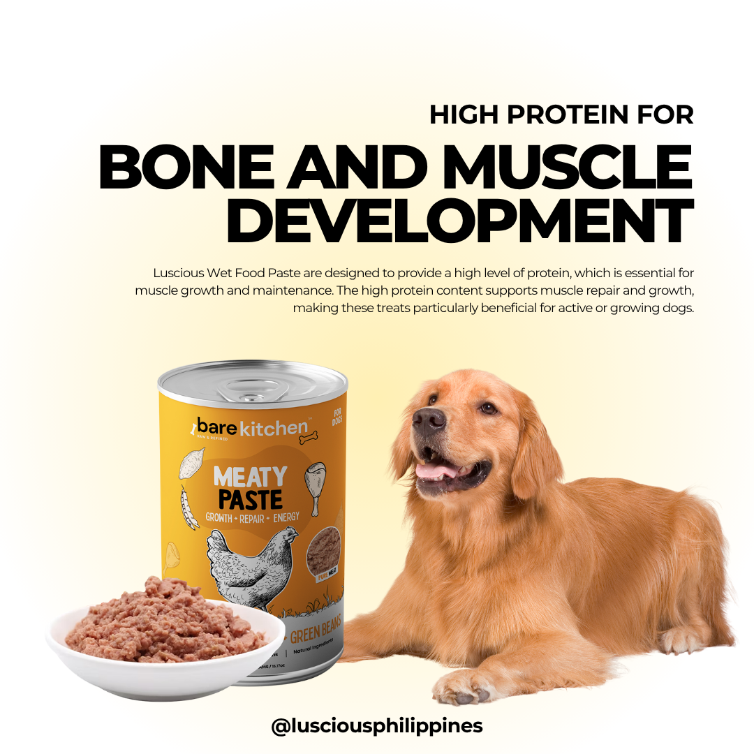 Rare Kitchen Premium Dog Wet Food Paste Premium Wet Food Can Organic ...
