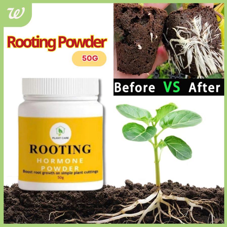 Rooting Hormone Powder 50g Rapid Growth Root Hormone For Garden Plants ...