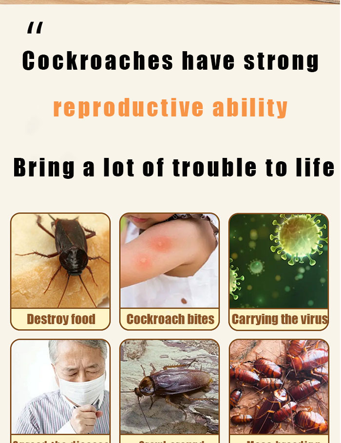Japan cockroach killer gel Cockroach Bait Cockroach Medicine Insect ...