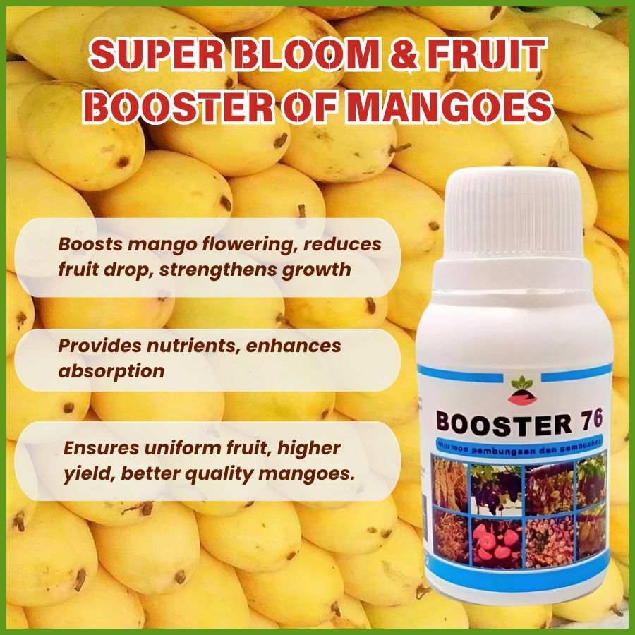 [HOT SALE] Booster 76 – Organic Growth Enhancer for Strong Roots, More ...