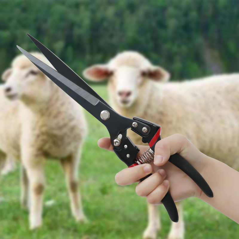 sk5 Wool shears wool scissors manual stranded sheep wool special spring ...