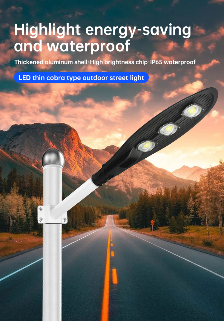 220V ELECTRIC Flood Light Led Outdoor Street Lamp Waterproof IP67 ...